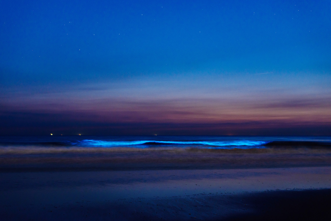 Komende dagen ‘lichtgevend water’ te zien in de Noordzee: zeevonk ...