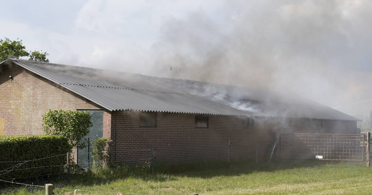 Forse schade aan schuur in Oosteind na brand | Oosterhout | bndestem.nl