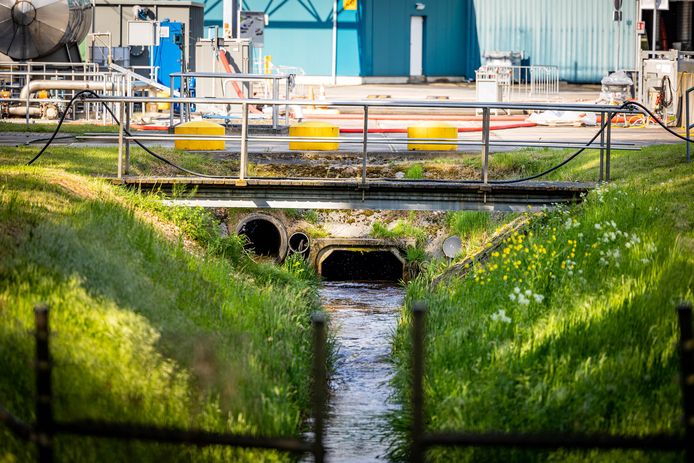 Pluim dioxaan nu in kanaal Almelo-De Haandrik | Almelo | destentor.nl