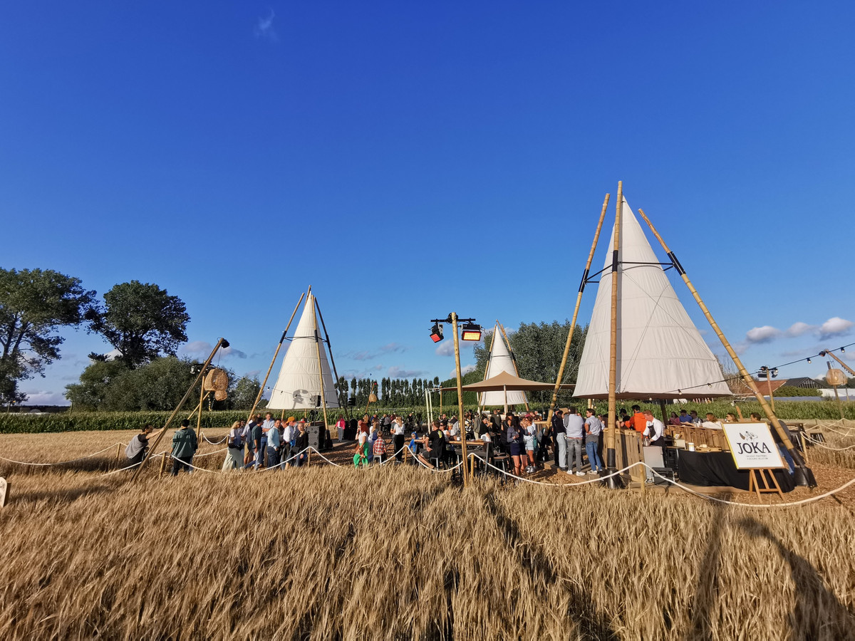 IN BEELD. Campo Solar in Damme start onder stralende zon | Foto | hln.be