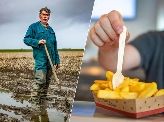 Wordt patat duurder? ‘Er zijn financiële gevolgen als tonnen ...