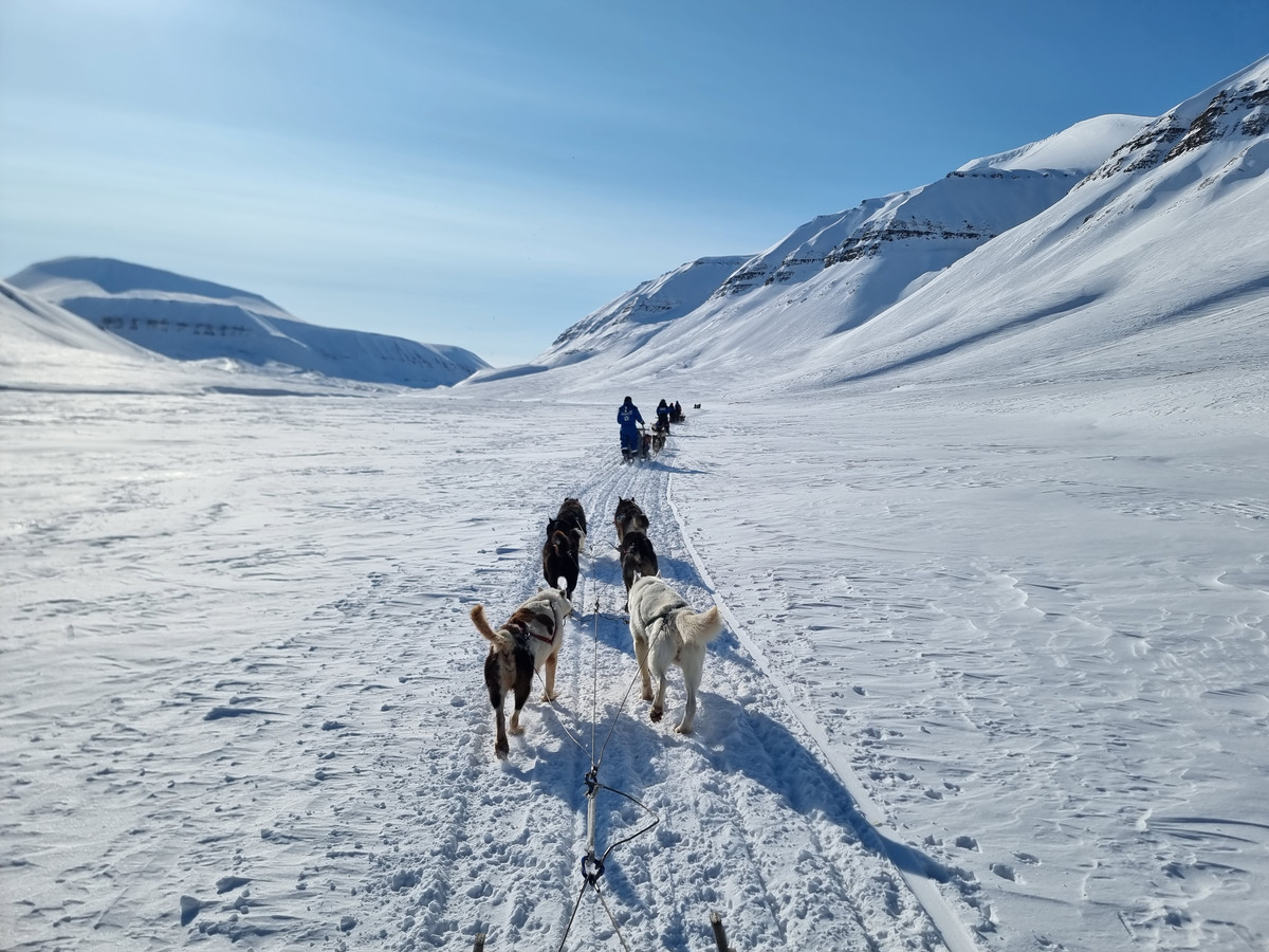 Een keertje naar Spitsbergen? Bjorn ging al tientallen keren en heeft ...