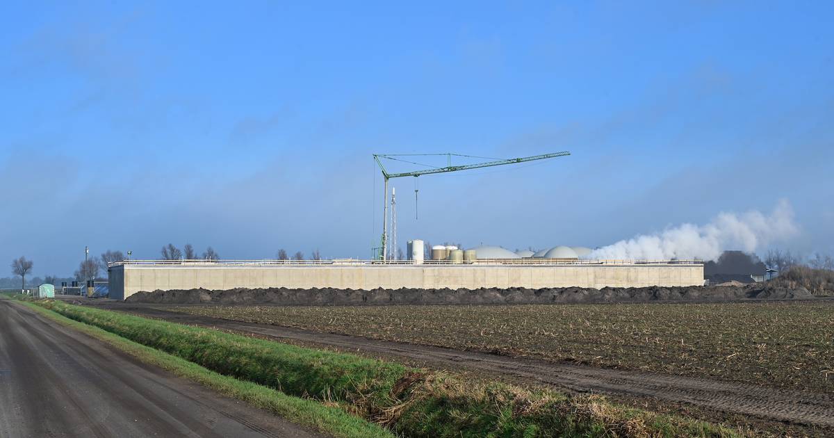 Groene stroom en groen gas uit vergisting: goed idee, toch? Maar niet ...