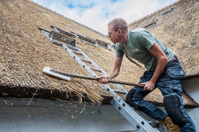 Een tekort aan riet voor daken: ‘Ik kan nog één grote villa bedekken ...