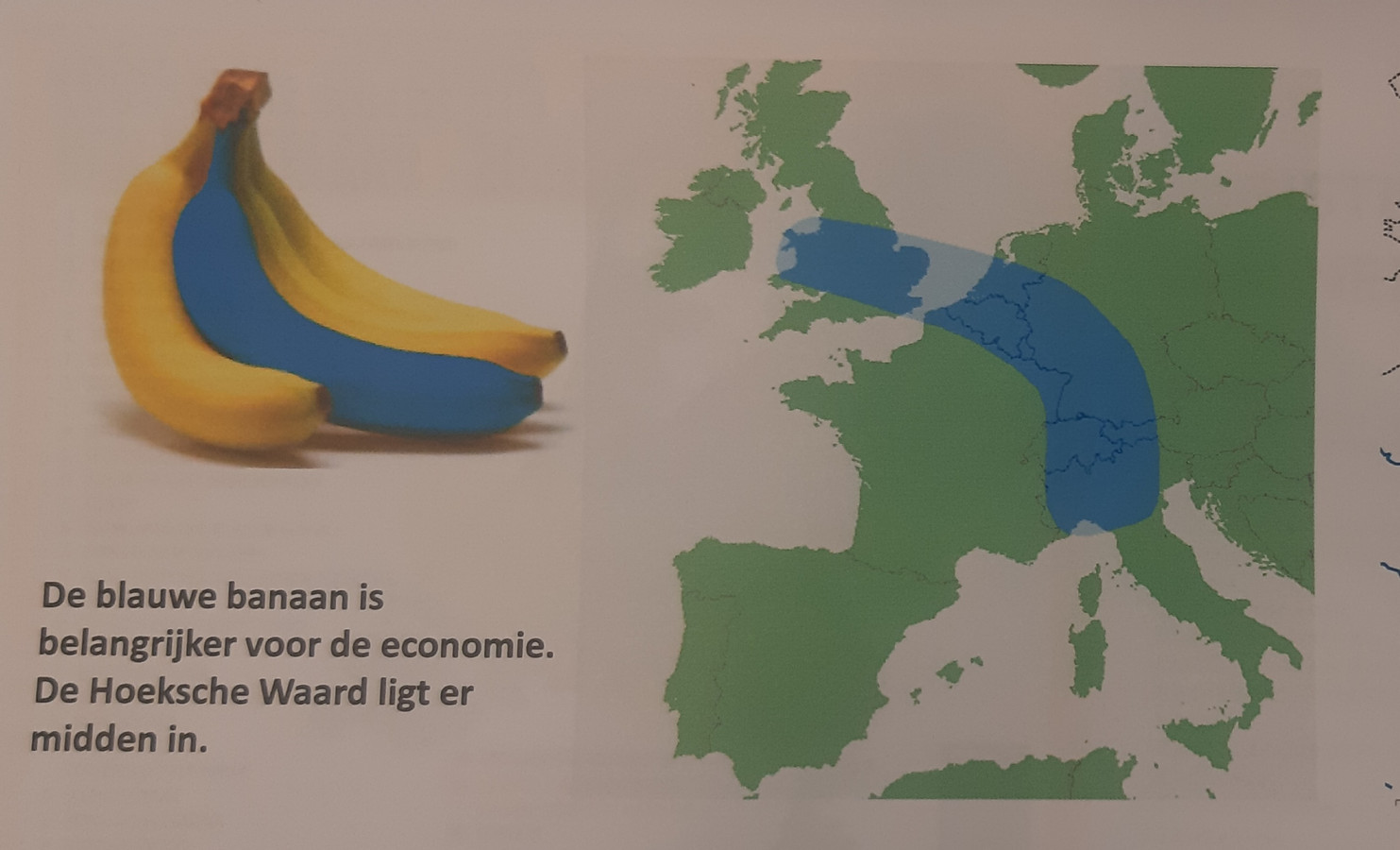 Volgens deze expert is er één goede oplossing voor de verkeersellende ...