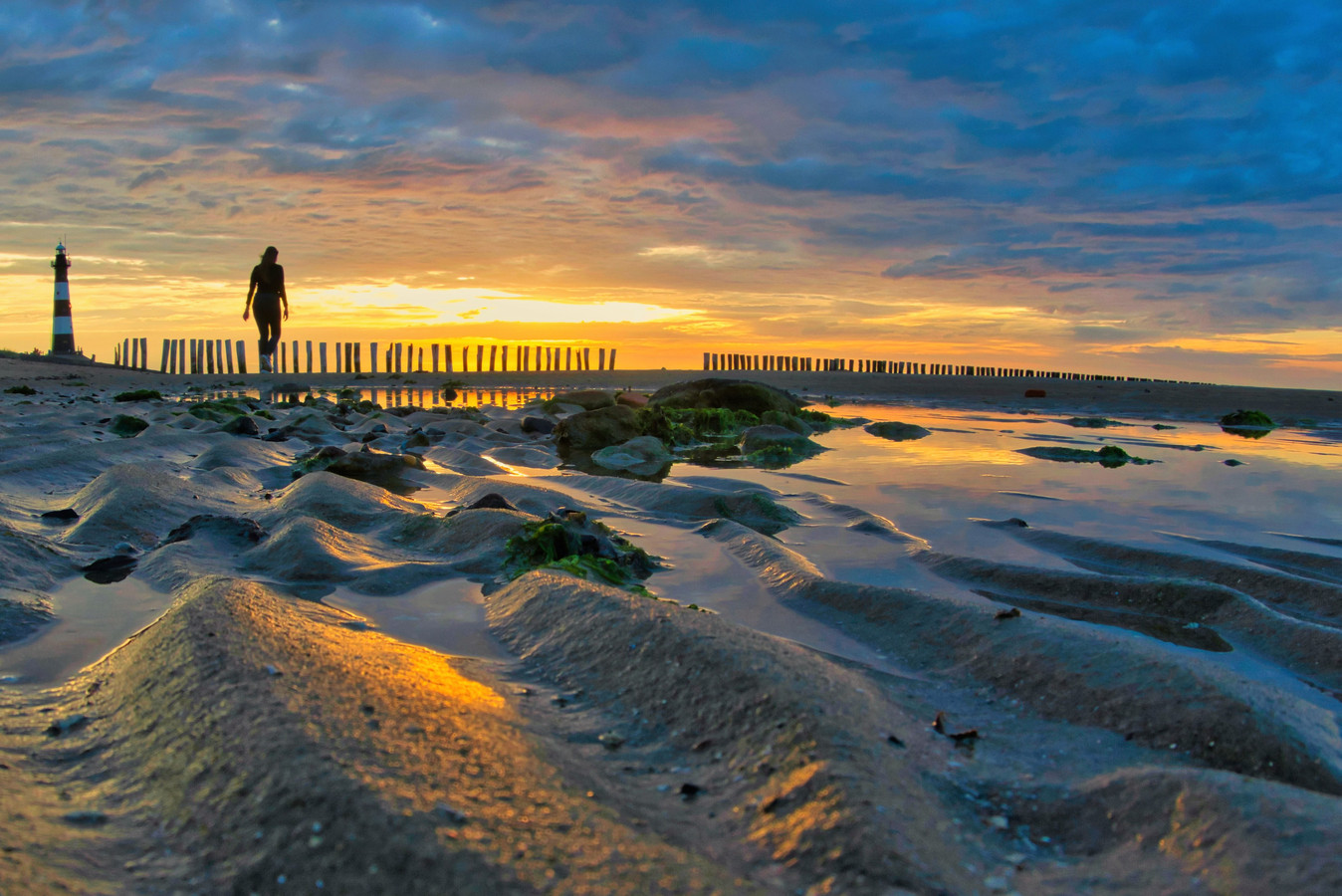 Ontmoeting met de avondzon is de winnaar van Zomerfoto 2022 | Foto | bd.nl
