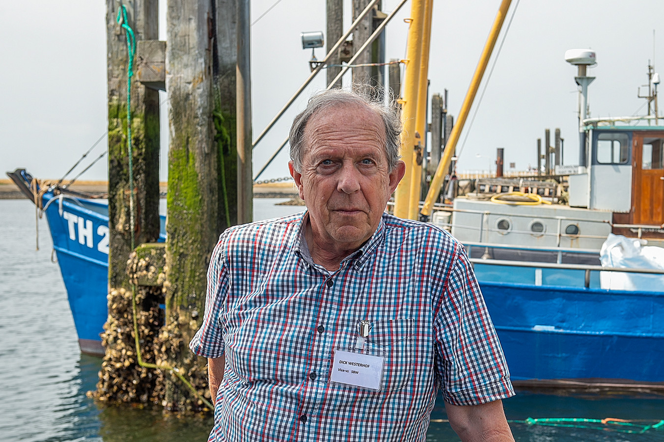 De ansjovis is de weg kwijt, maar de vaartochten gaan onverminderd door ...