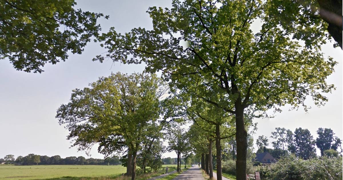 Nieuw fietspad hobbelig en vol plassen | Utrecht | AD.nl