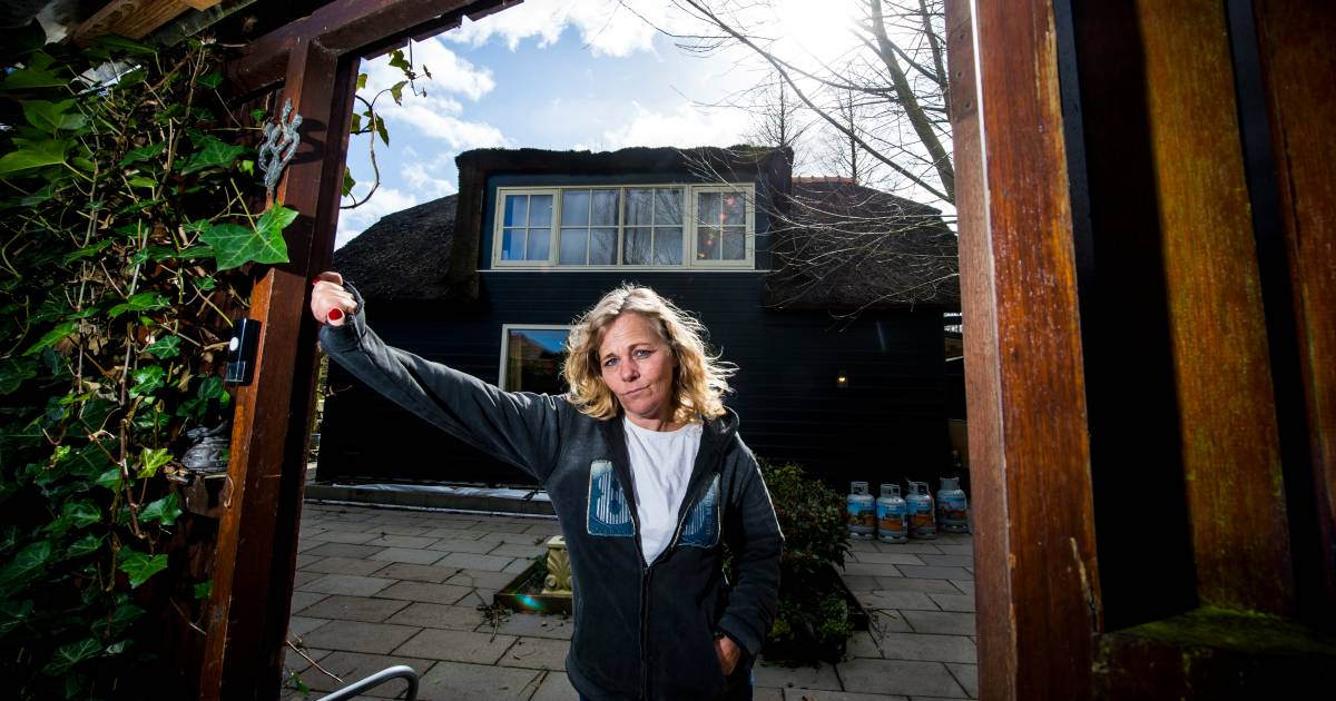 Opvolger gezocht voor ‘pitbull’ Kim, die door ziekte strijd voor lokale ...