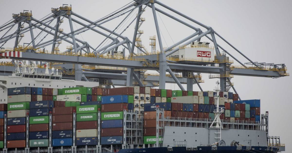 Zes uithalers aangehouden in Rotterdamse haven die zich verstopten in ...