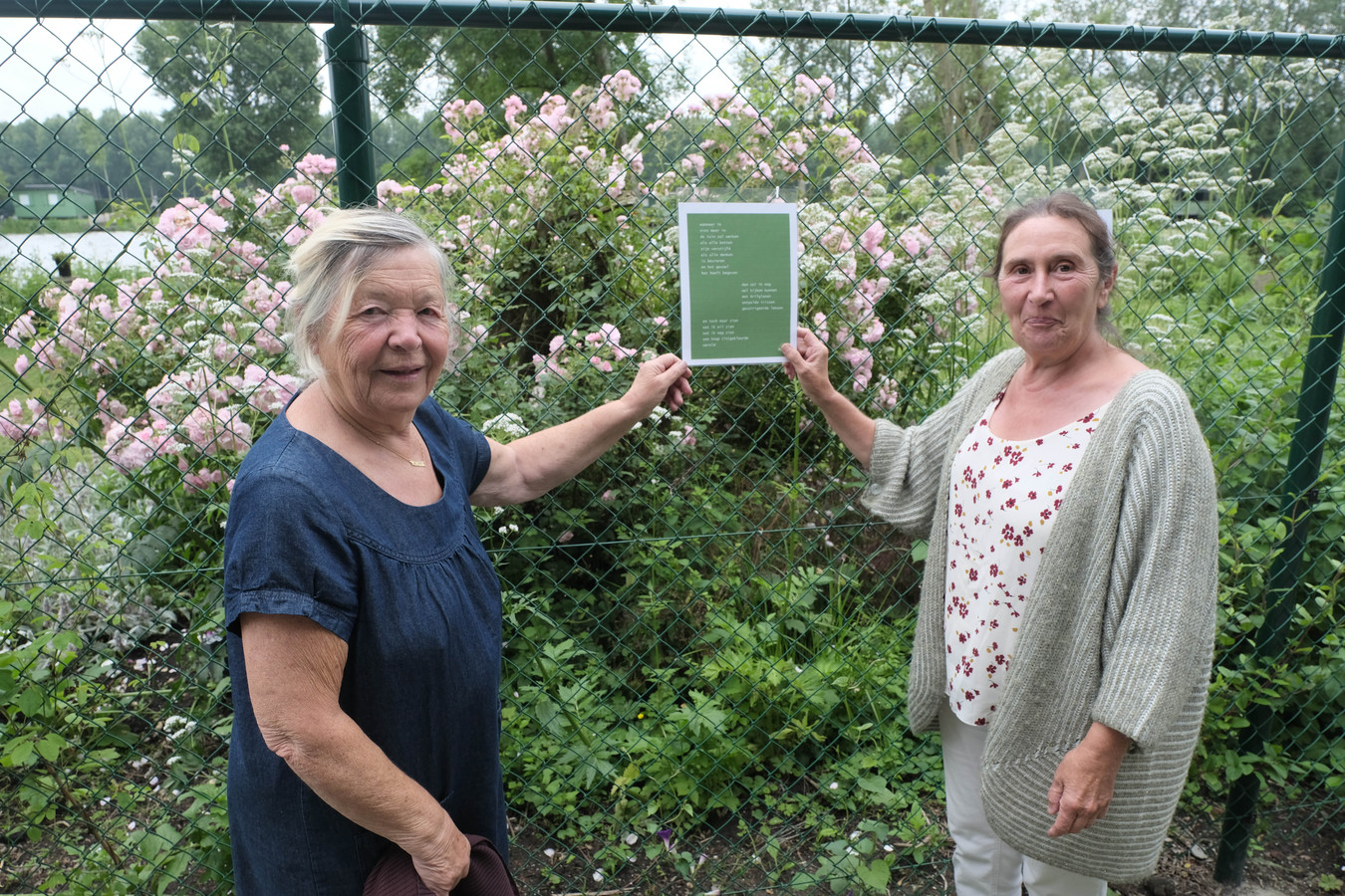 Buurvrouwen palmen Weertse straten in met poëzieproject 21: “Oplossing ...