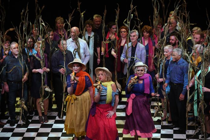 Elstars vieren twintig jaar muziektheater | Tiel | gelderlander.nl