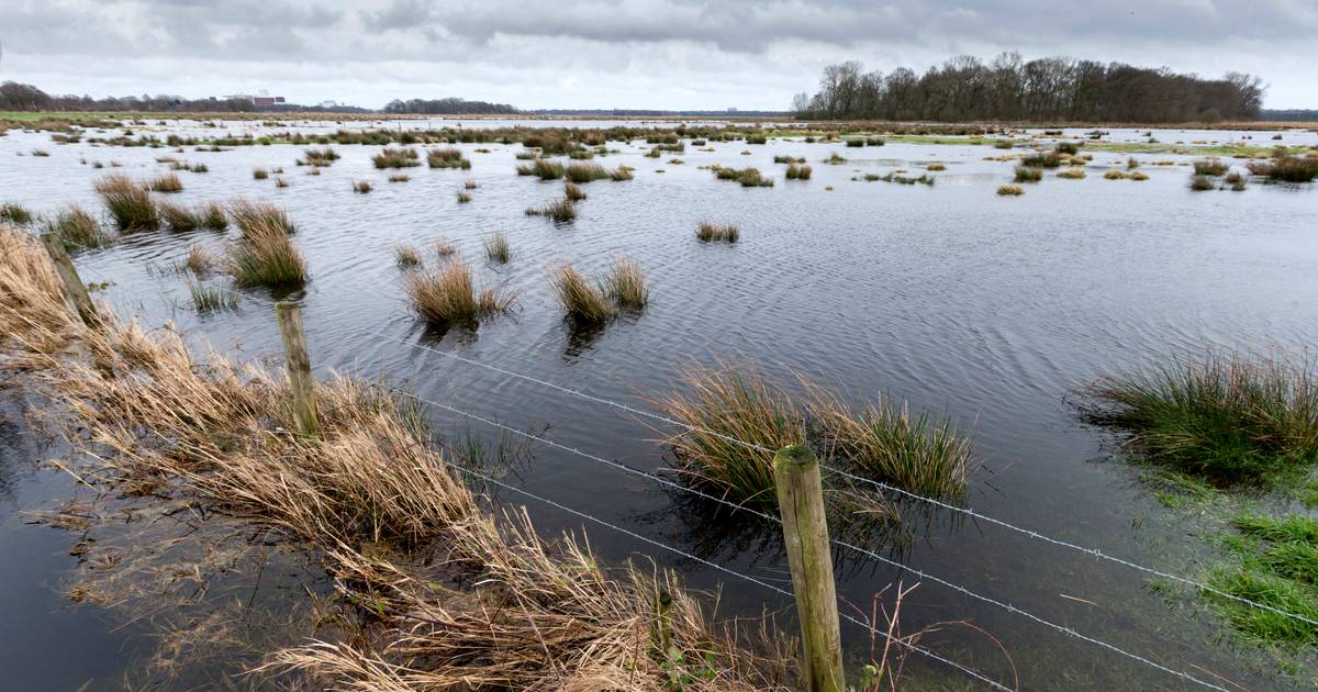 14 Miljoen Kuub Water Opvangen Om Rampen Te Voorkomen Doe Er Nog Maar