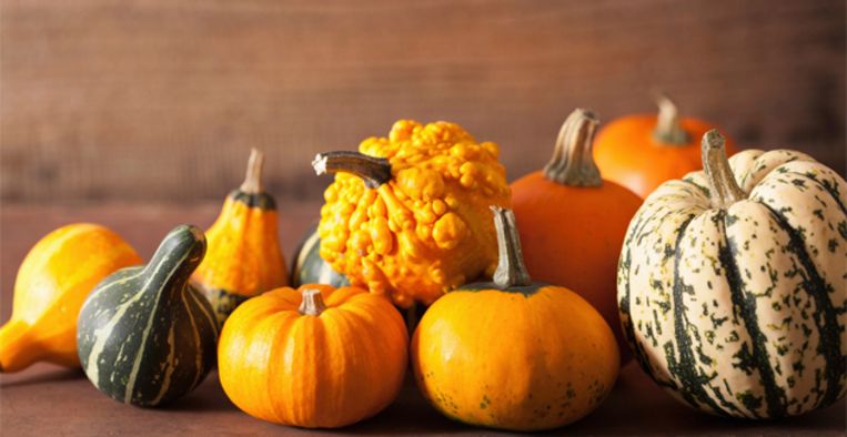 Zó kun je zien of een pompoen wel of niet eetbaar is | Libelle