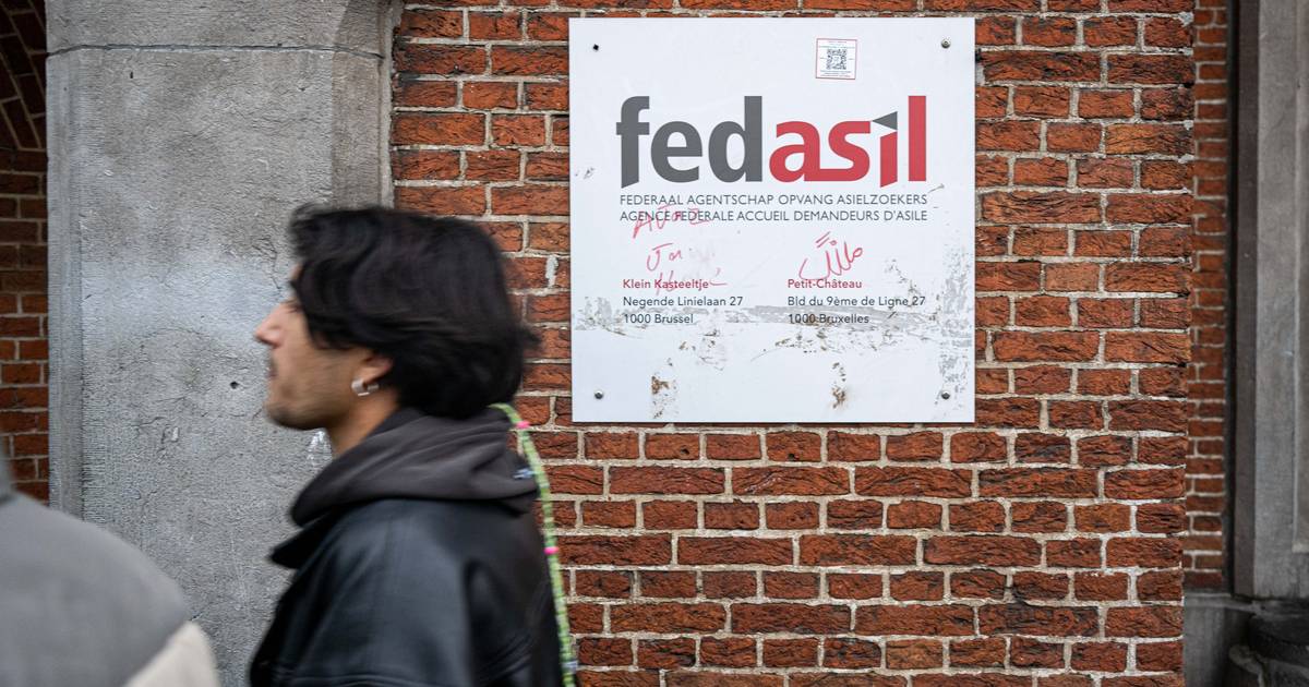 Fedasil dit jaar al 2.159 keer gedagvaard | Binnenland | hln.be