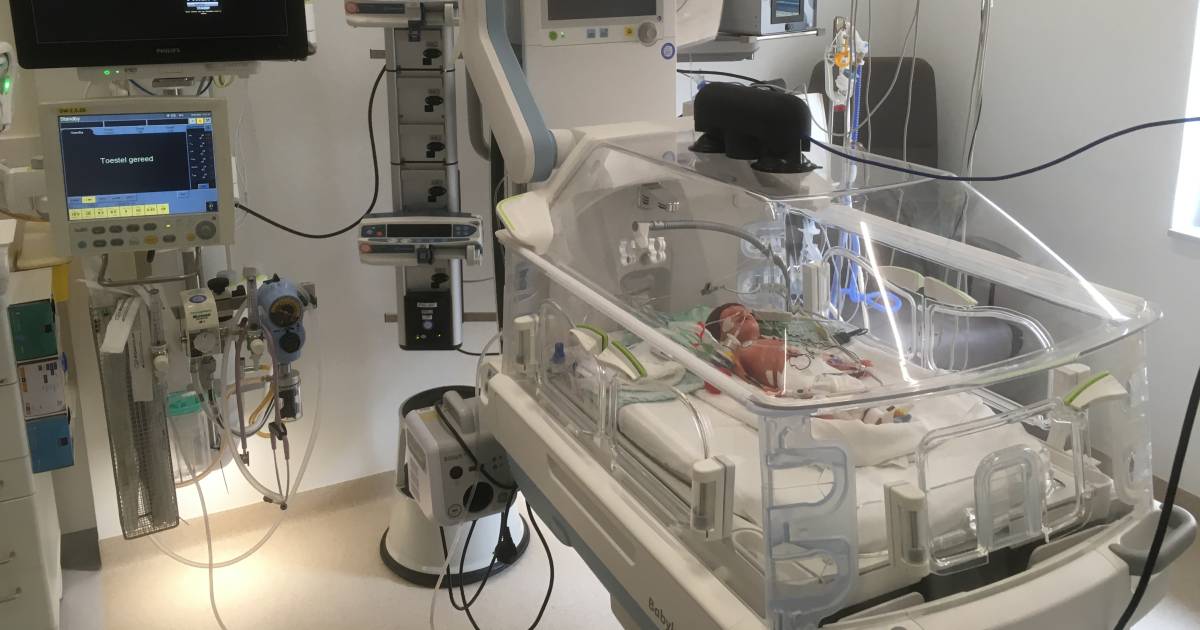 Stille couveuse voor te vroeg geboren baby: 'Ze raken heel snel ...
