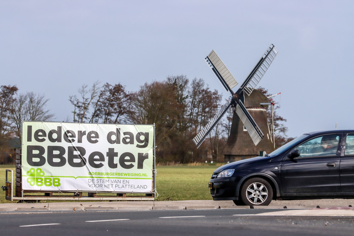 BoerBurgerBeweging (BBB) is nu de grootste in Zuid-Holland: dit kan de ...