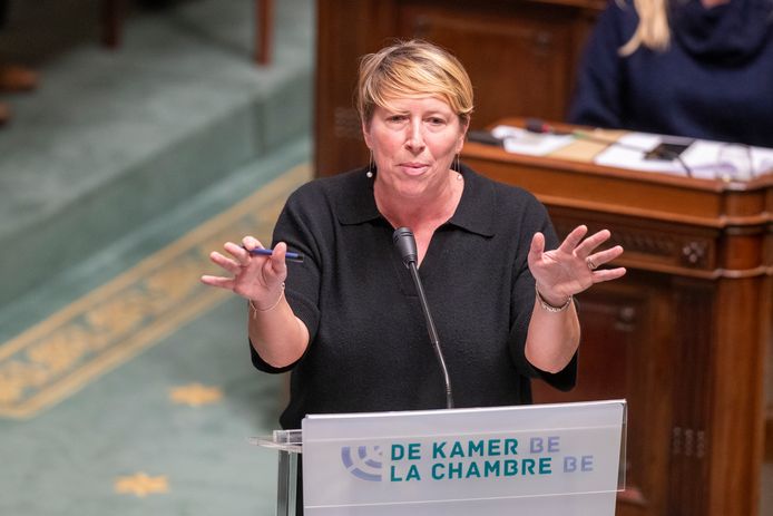 Gennez zet meteen aanval op Vlaams Belang in | Binnenland | hln.be