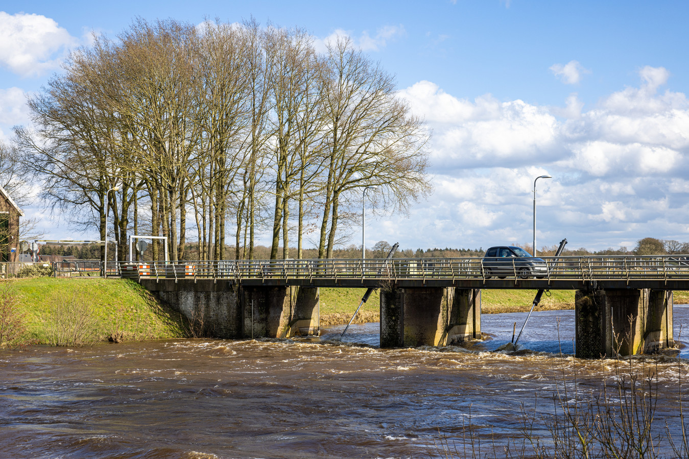 Vlak voor broedseizoen wil Ommen bomen kappen voor omstreden brug ...