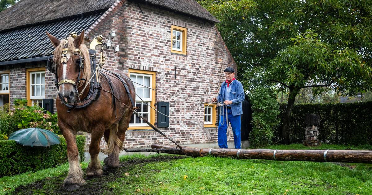 ‘Vergeet niet: het Land van Ooit is voorgoed verdwenen’ | Opinie ...