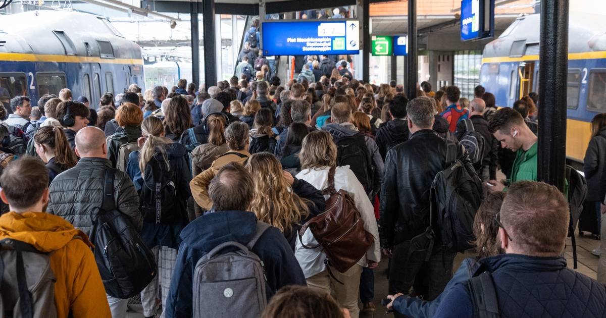 Wereldbevolking in 2023 met 75 miljoen toegenomen, tot totaal van 8 ...