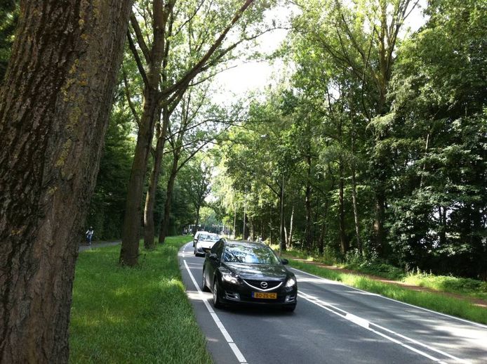 Raad Wageningen kiest voor verbreding van Nijenoord Allee | De Vallei ...