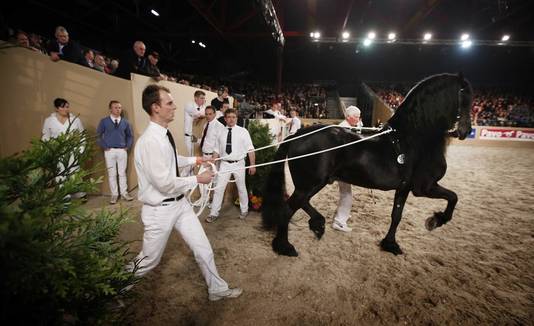 Norbert 444 is de mooiste van de hele wereld | Binnenland | AD.nl