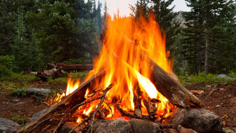 Kampvuur mag dichter bij bos | De Morgen