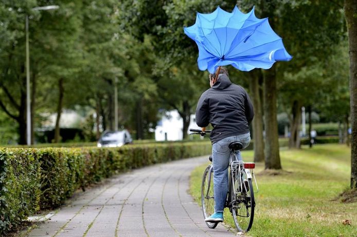 Proef met voorrang fietsers bij regen | Den Bosch | AD.nl