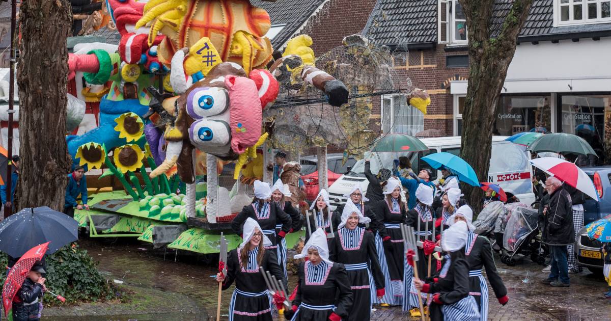 Voorspelde windstoten zetten carnavalsoptochten op de tocht: ‘We houden ...