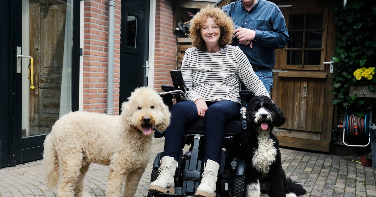 Hulphond Butler (12) haalde zelfs de was uit de machine, nu gaat hij ...