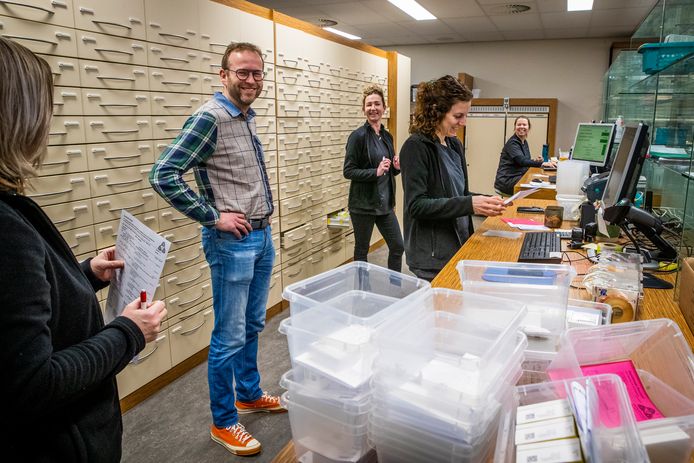 Reuselse apotheek vraagt aandacht voor leveringsproblemen medicijnen: ‘We krijgen huilende ...