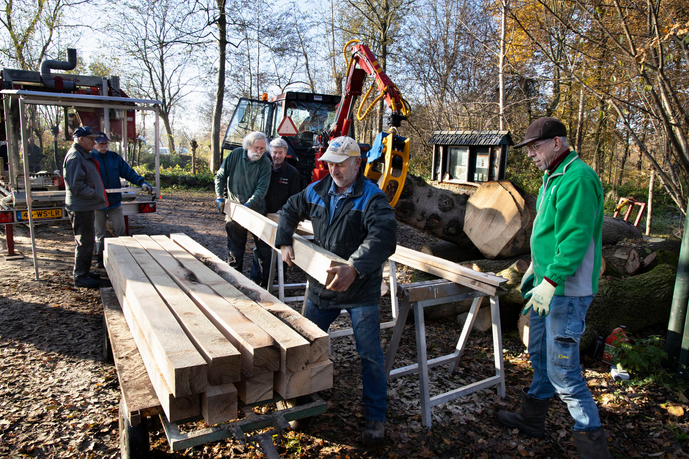 Zaagdag bij IVN in Aarle-Rixtel: ‘Lokaal hout is net zo goed als ...