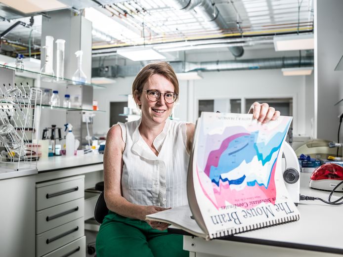 De sleutel tot langer leven? Professor Ann Massie toont aan dat één gen ...