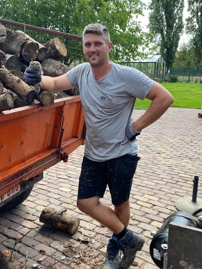 Jonge steenuil knapt een uiltje... en wordt op onverwachte plek wakker ...