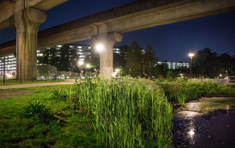 26-jarige man gewond bij schietpartij Kikkenstein in Zuidoost
