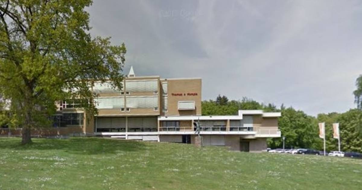 Brugpieper slaat pestkop van zich af in Arnhem | Arnhem e.o ...