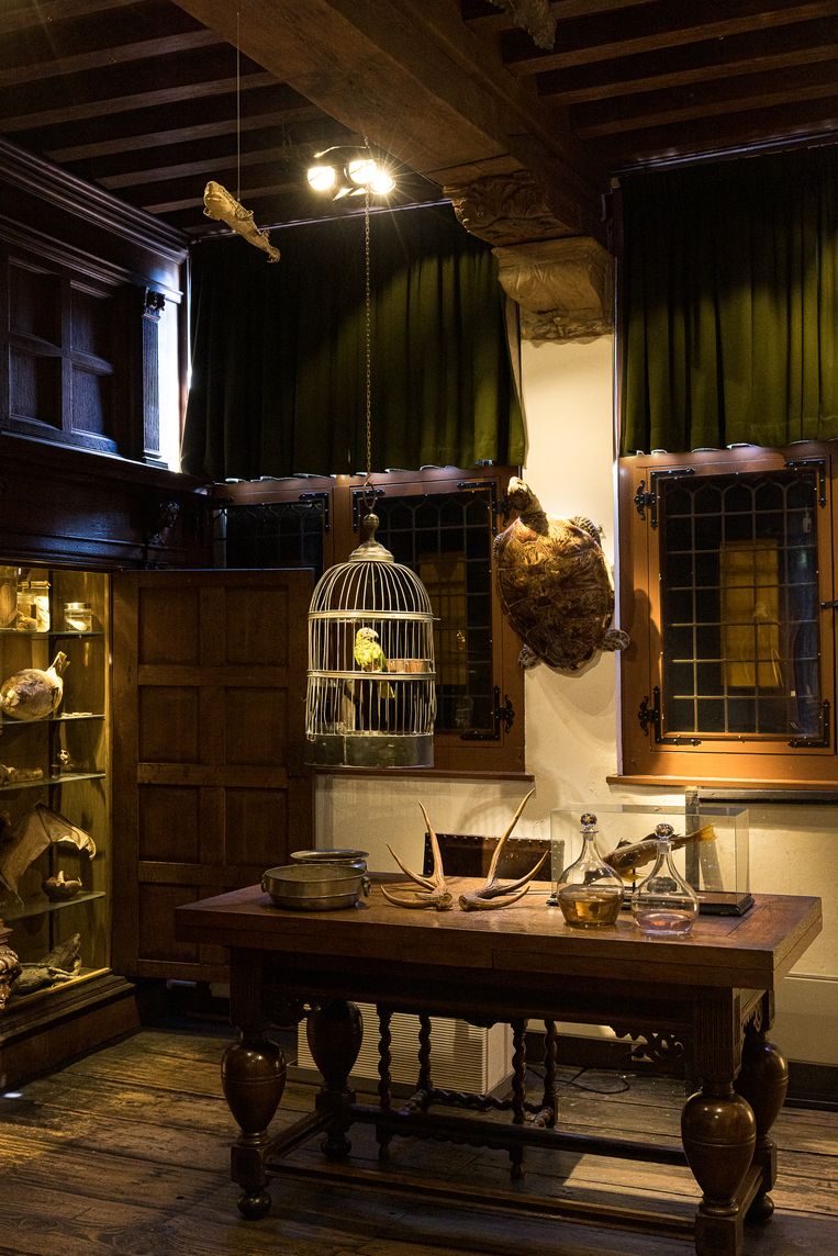 Een zoektocht naar nieuwe maatstaven golft door het Nederlandse museumland