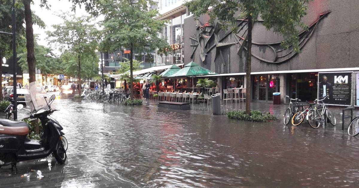 Veel overlast door zware regenval in Rotterdamse regio | Rotterdam | AD.nl