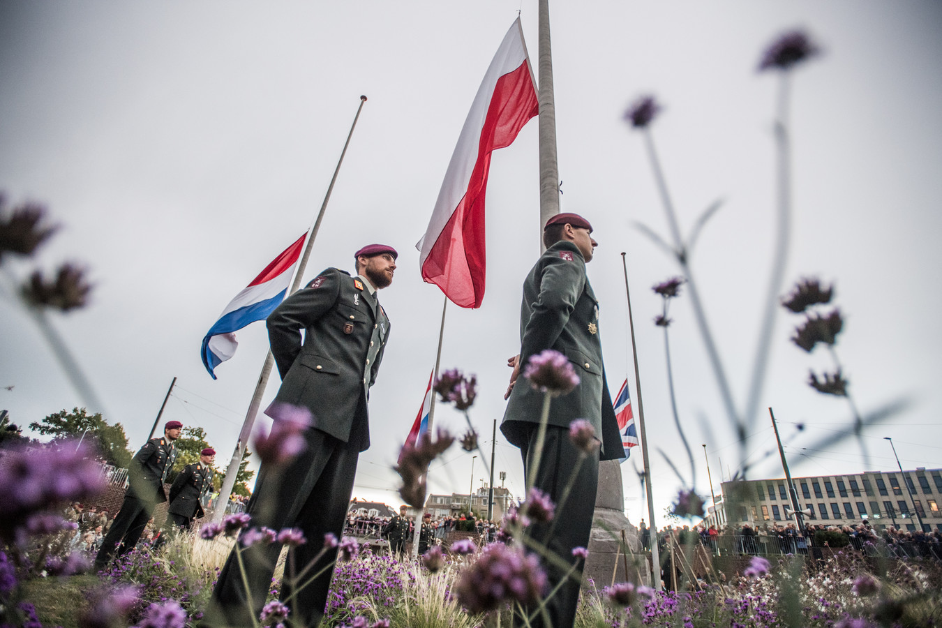 Vlaggen halfstok en minuut stilte als rouwbetoon voor Koningin ...
