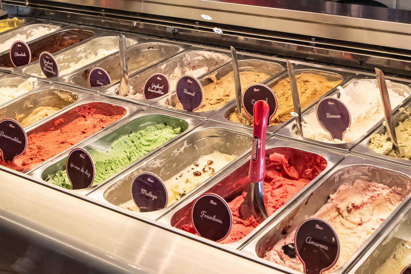 IJssalon onthult: van gek, gekker, gekst gaan we terug naar normaal (en ...