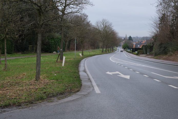 Busbaan moet file aan kruispunt Brusselsesteenweg wegwerken: werken starten maandag | Grimbergen ...