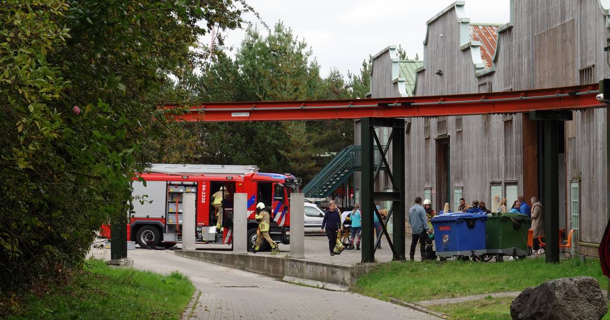 Zwempark Aqua Mexicana zou opengaan na incident met badjuf, maar blijft ...