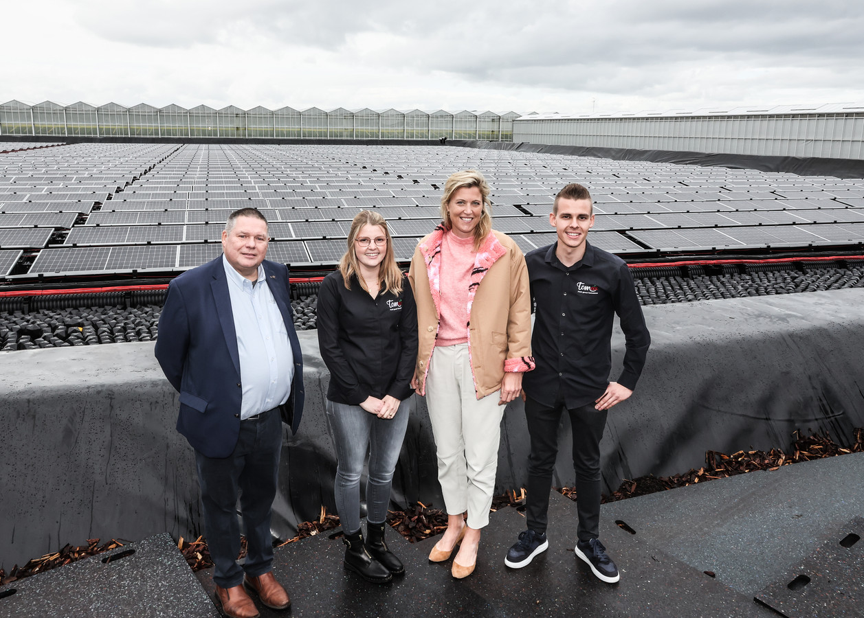 3.000 drijvende zonnepanelen op waterbassin van tomatenteler leveren ... 3.000 drijvende zonnepanelen op waterbassin van tomatenteler leveren ...