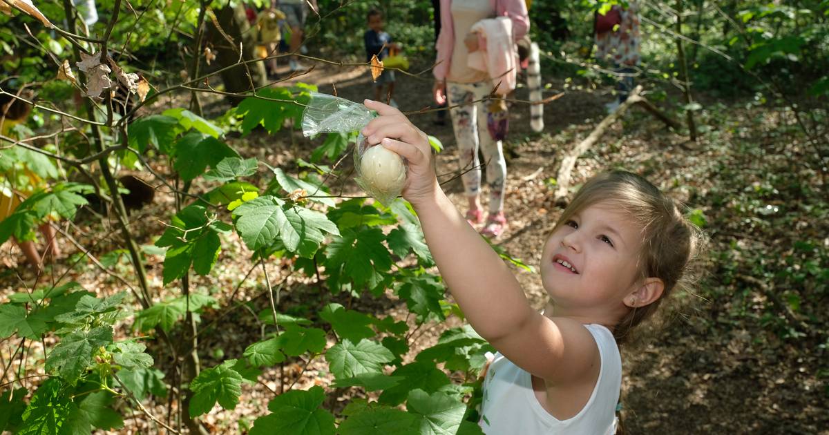 Paaseierenraap en workshop paasmandjes maken bij Gezinsbond Gits | Hooglede | hln.be