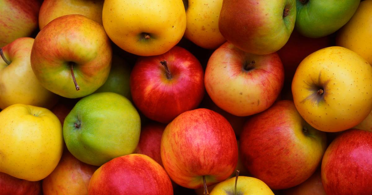 Appelen laten persen in mobiele fruitpers aan Boembekemolen in ...