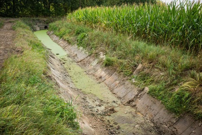 Provincie verwijdert slib uit waterlopen in strijd tegen wateroverlast ...