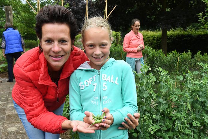 Moestuin brengt nieuw leven in hart van Maashees | Maasland ...