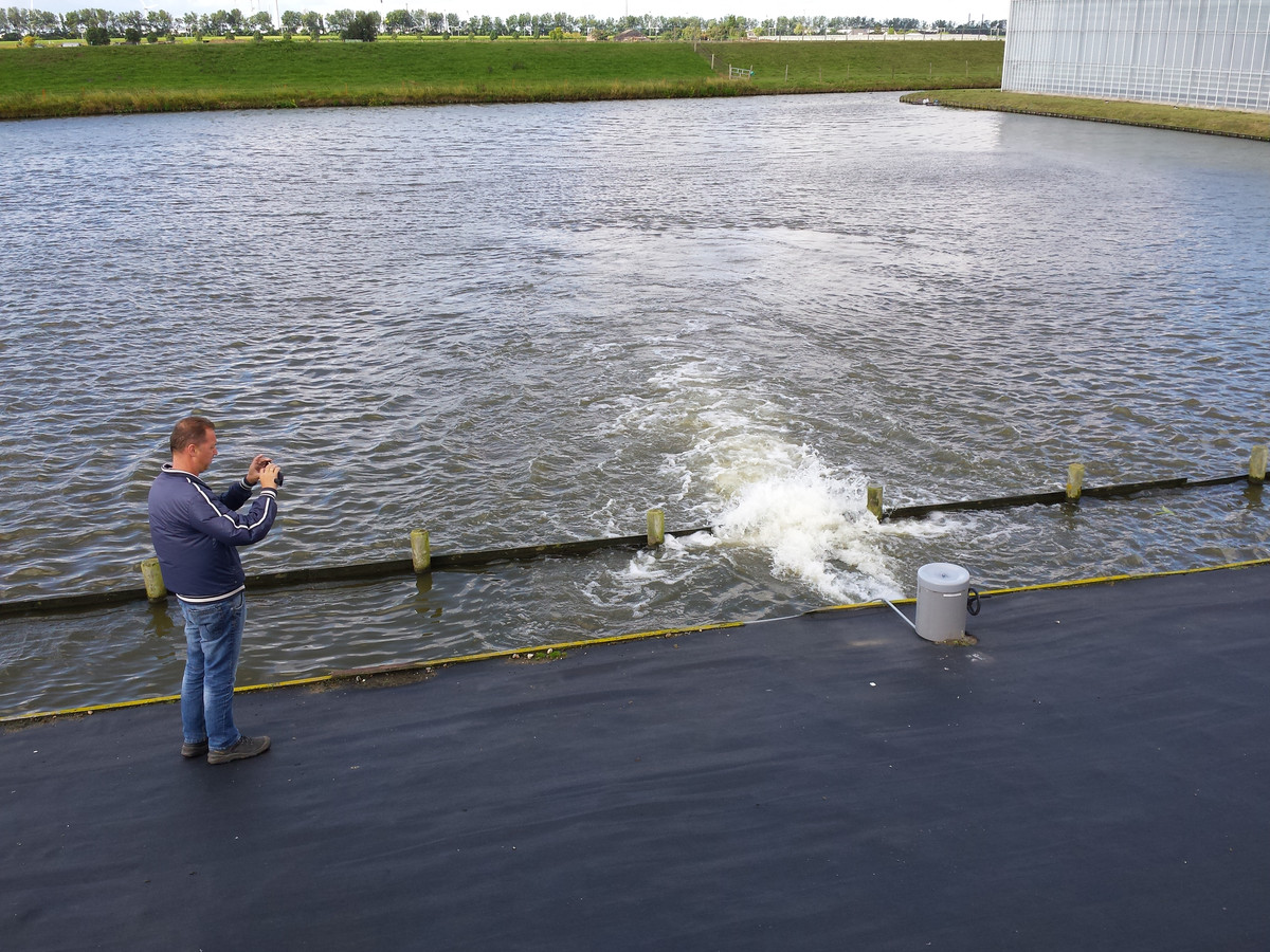 Al 75 tuinders helpen mee om de boel droog te houden: ‘Dit gebied is ...