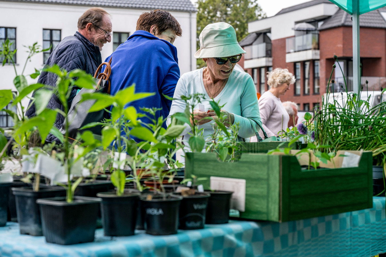 Van de Tuindagen tot de bloemenmarkt op de Kouter: maak je tuin ...